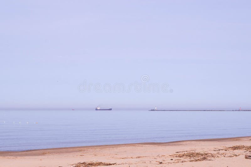 Springtime by the sea stock photo. Image of plant, beach - 89944580