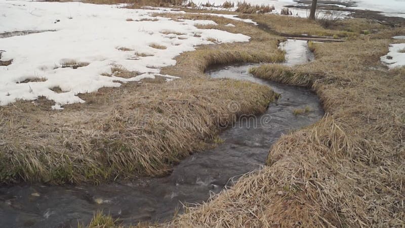 Springtime Snow Melting with Creeks Stock Video - Video of environment ...