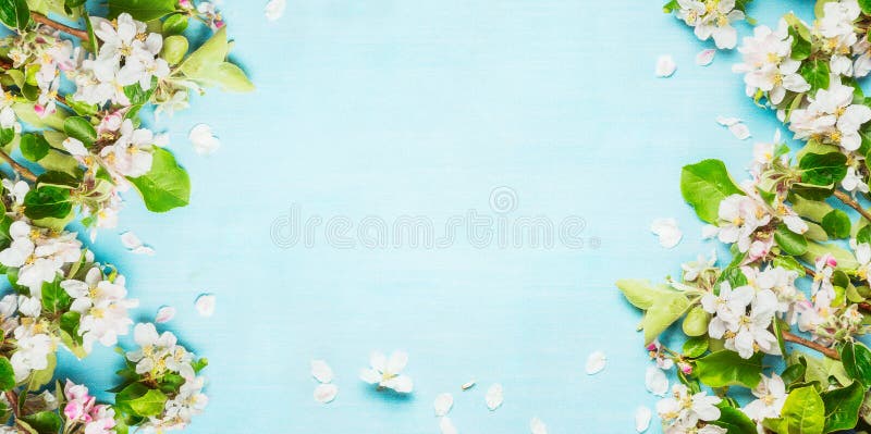 Beautiful Spring Nature Background with Lovely Blossom, Petal a on ...