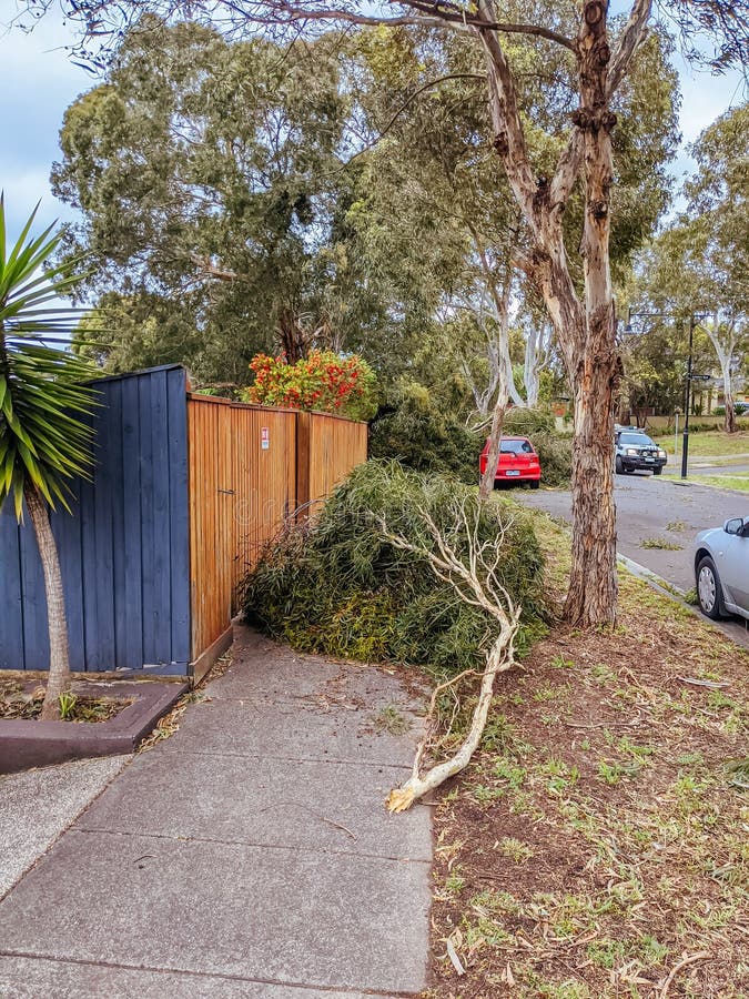 Springtime Storms and Damge in Melbourne Australia Editorial Stock ...
