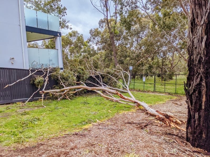 Springtime Storms and Damge in Melbourne Australia Stock Image - Image ...