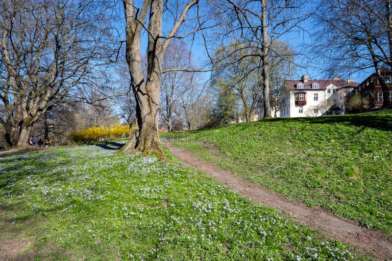 Springtime in Sweden stock photo. Image of house, building - 53323630