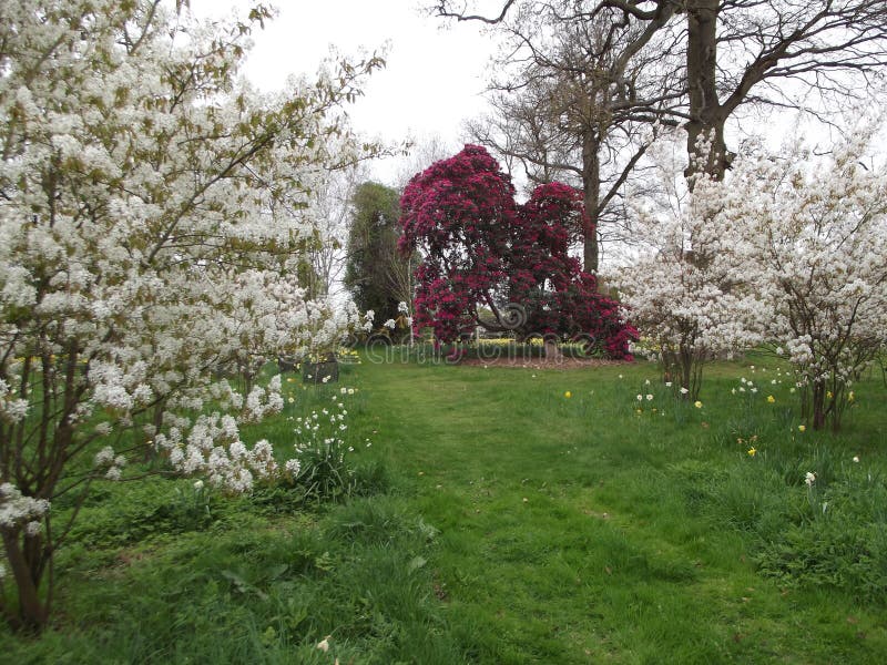 A Springtime Walk stock image. Image of garden, trees - 90101555