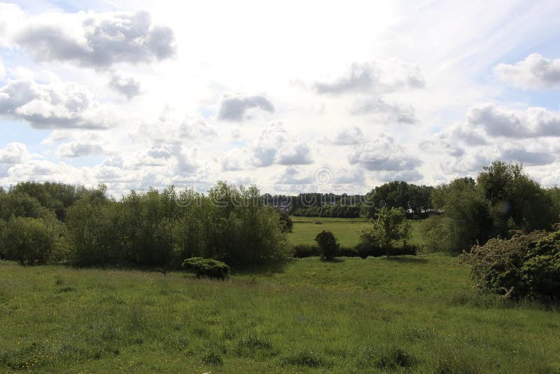 Springtime Walk To See the Flora and Fauna Along the River Lea Flowing ... Springtime Walk To See the Flora and Fauna Along the River Lea Flowing ...