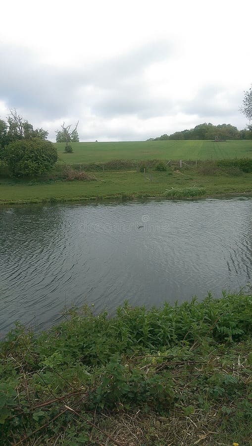 Springtime Walk To See the Flora and Fauna Along the River Lea Flowing ... Springtime Walk To See the Flora and Fauna Along the River Lea Flowing ...