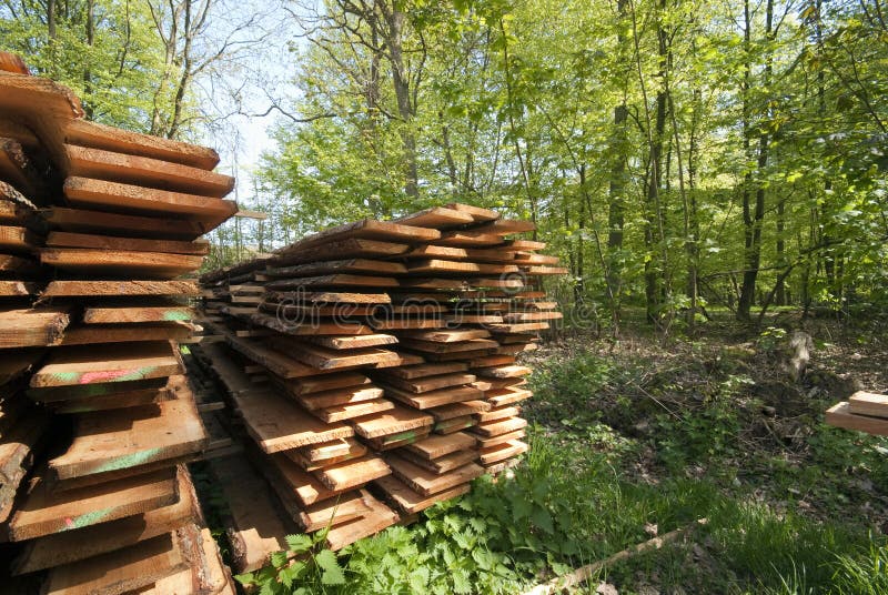 Springtime wood boards stock image. Image of beech, pile - 25051175