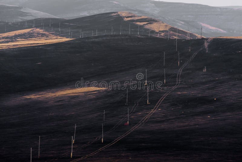Scorched Ground after Big Fire. Stock Photo - Image of sunlight, nature ...