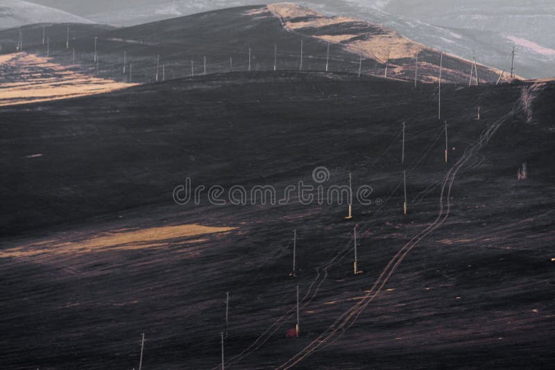 Scorched Ground after Big Fire. Stock Image - Image of color, sunlight ...