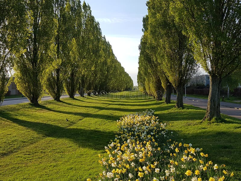 Springwalk stock image. Image of colourful, springtime - 92169993