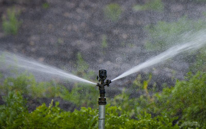 Sprinker Irrigation System Spraying Water on Field Stock Photo - Image ...