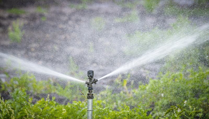 Sprinker Irrigation System Spraying Water on Field Stock Image - Image ...