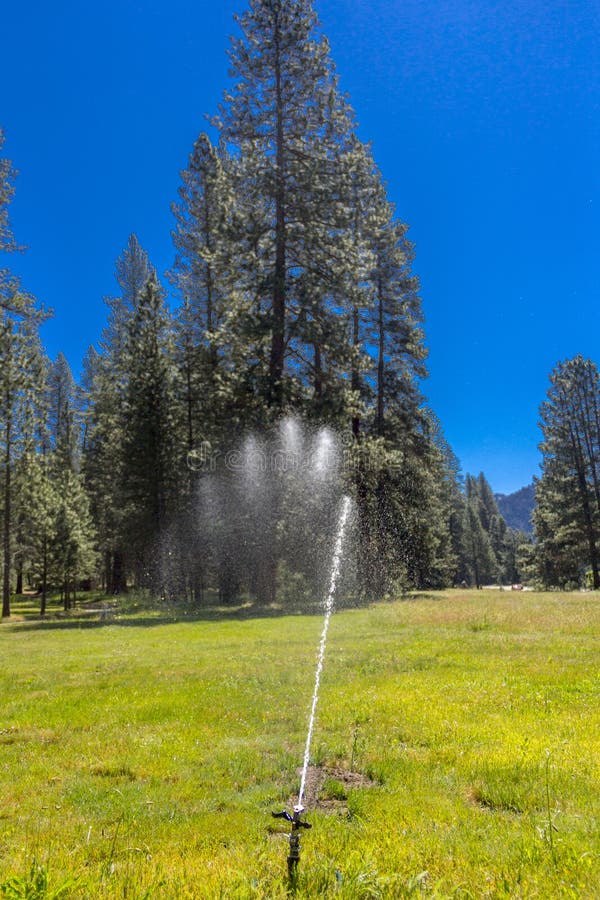 Water Sprinker stock photo. Image of spray, sprinkler - 30843450
