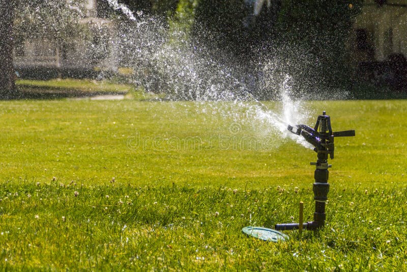 Sprinker Spraying Water on Lush Green Grass in Park Stock Photo - Image ...