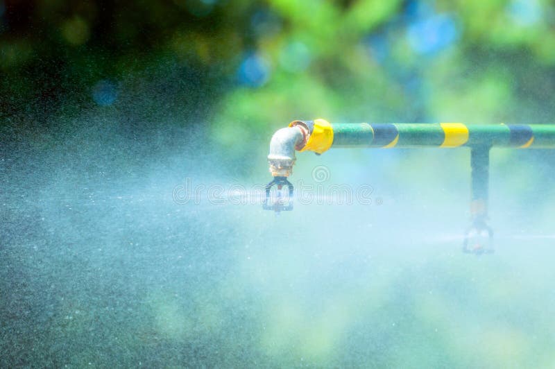 Sprinkle in Action at Summer Stock Image - Image of plant, automated ...