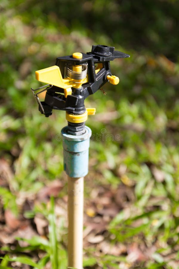 Sprinkle stock image. Image of organic, rural, fresh - 34026761