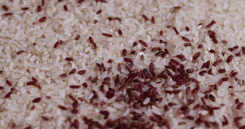 Sprinkle Red Rice with Other Rice Including on the Table Stock Footage ...