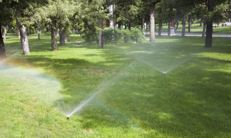 Sprinkle water stock image. Image of gardening, agriculture - 10916585
