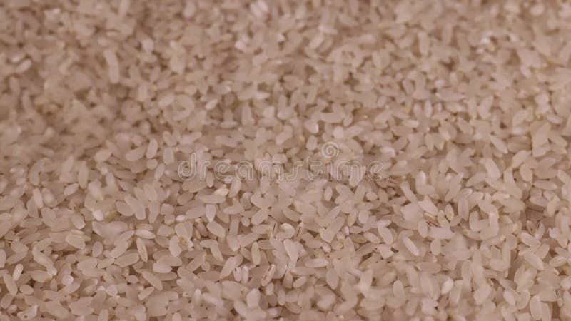 Sprinkle White Rice with Other Rice Including on the Table Stock ...