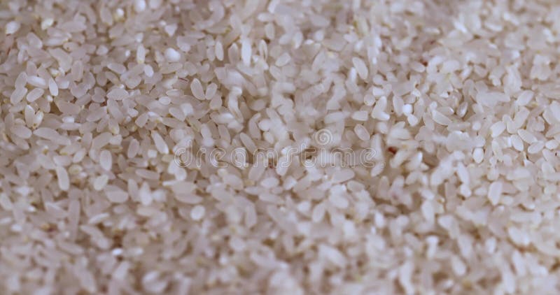 Sprinkle White Rice with Other Rice Including on the Table Stock ...