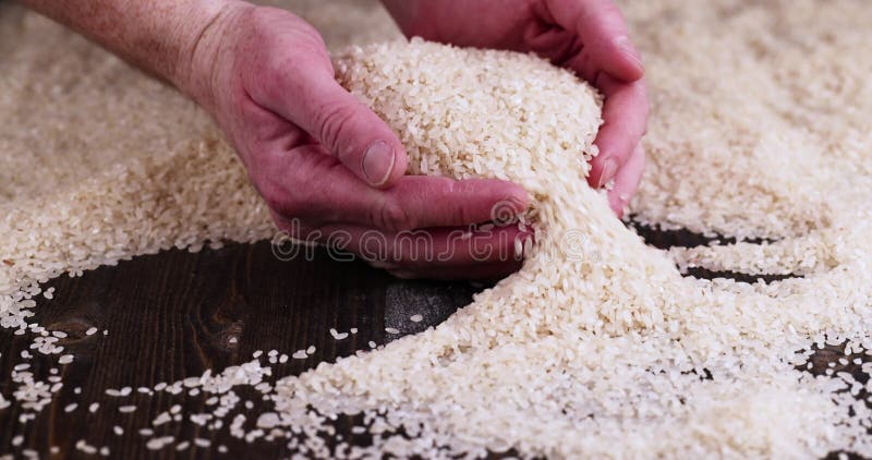 Sprinkle White Rice with Other Rice Including on the Table Stock ...