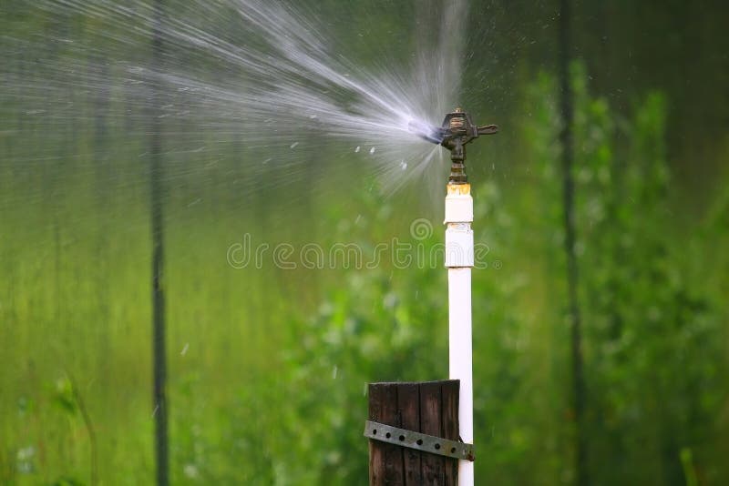 Sprinkler in action stock image. Image of plants, spray - 2686351