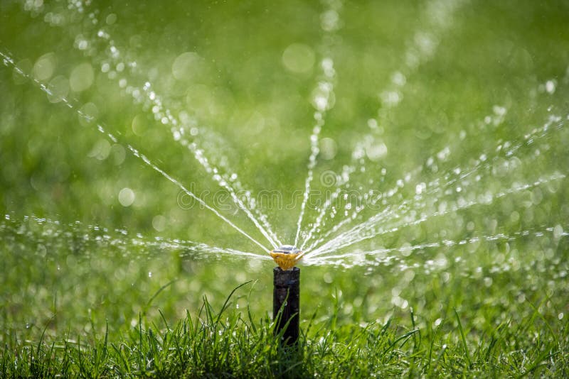 Sprinkler in Action Watering Grass Stock Image - Image of fresh, head ...