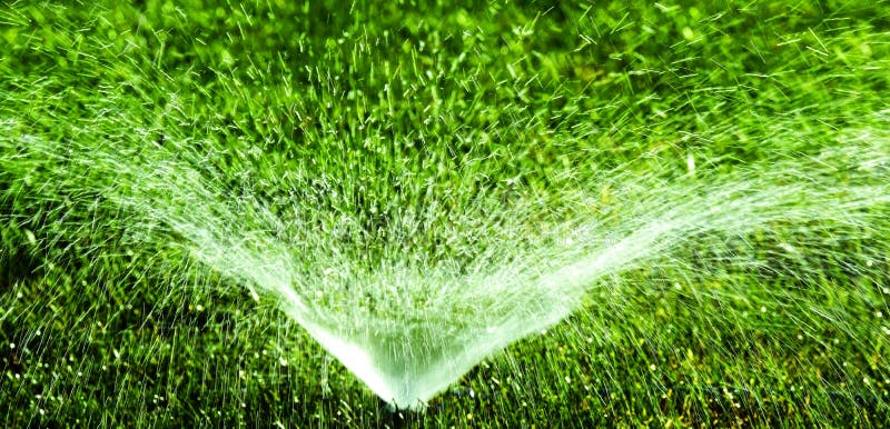 Sprinkler in Grass Yard Spraying Water Drops Drips Irrigation Stock ...