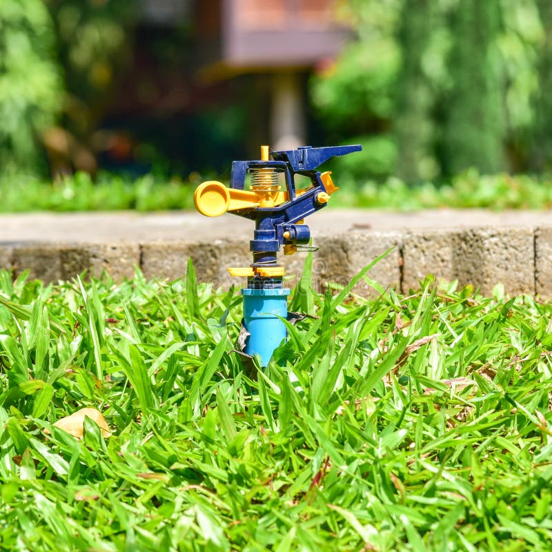 The Sprinkler on the Green Glass Field Stock Photo - Image of ...
