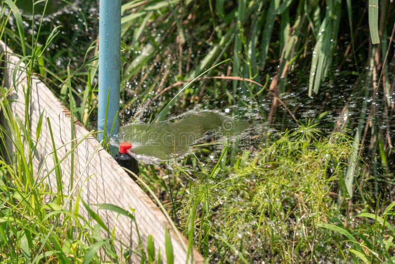 Sprinkler Heads in the Garden Stock Image - Image of object, spray ...