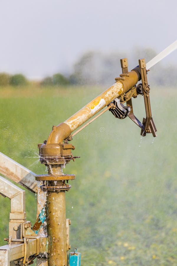 Sprinkler irrigates fields stock photo. Image of irrigates - 74702514
