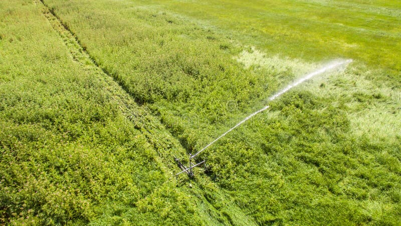 Sprinkler Irrigation Seen from Above with Drone Stock Image - Image of ...