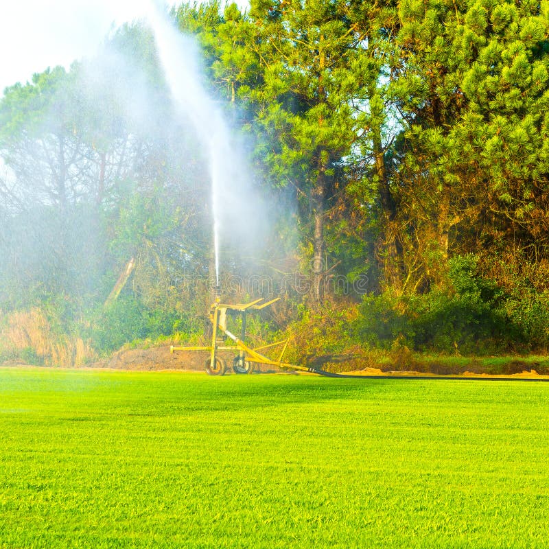 Sprinkler Irrigation System in Operation Stock Photo - Image of ...