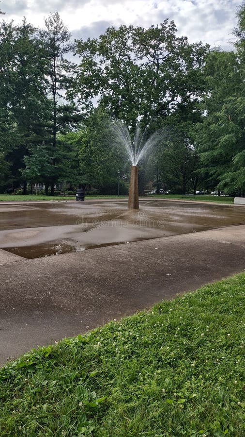 Sprinkler in the Park stock image. Image of water, lawn - 220794179