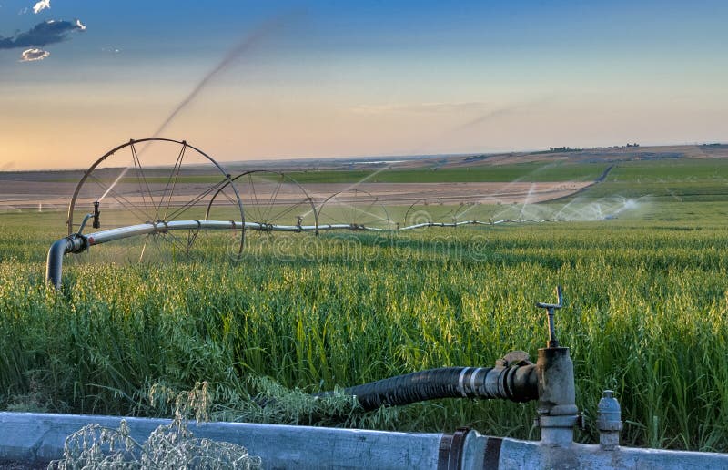 Irrigation pipeline stock photo. Image of summer, metal - 10187832