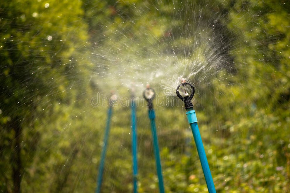 Sprinkler spin for plant stock photo. Image of garden - 25064098