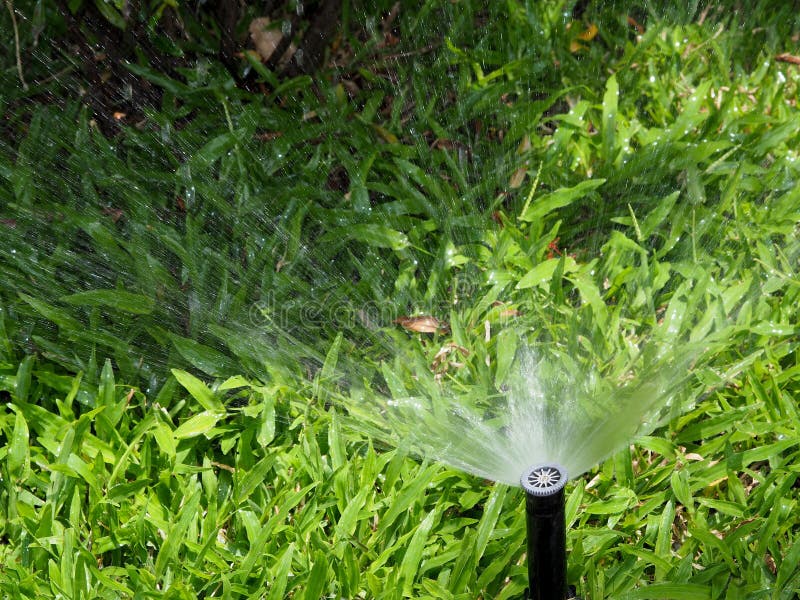 231 Sprinklers Splashing Stock Photos - Free & Royalty-Free Stock ...
