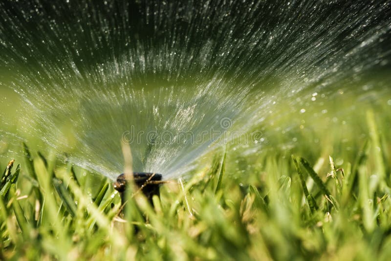 Sprinkler spraying water stock photo. Image of semicircle - 6066152