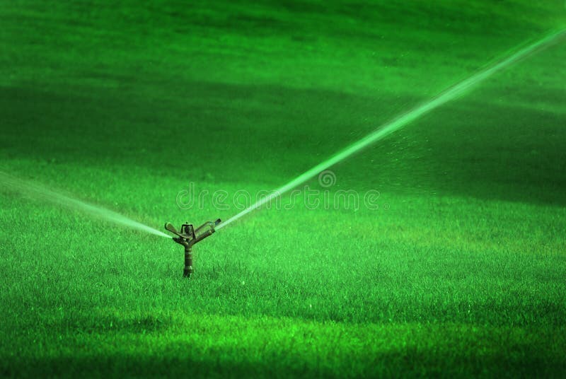 Sprinkler Spraying Water on Lush Green Grass Stock Photo - Image of ...
