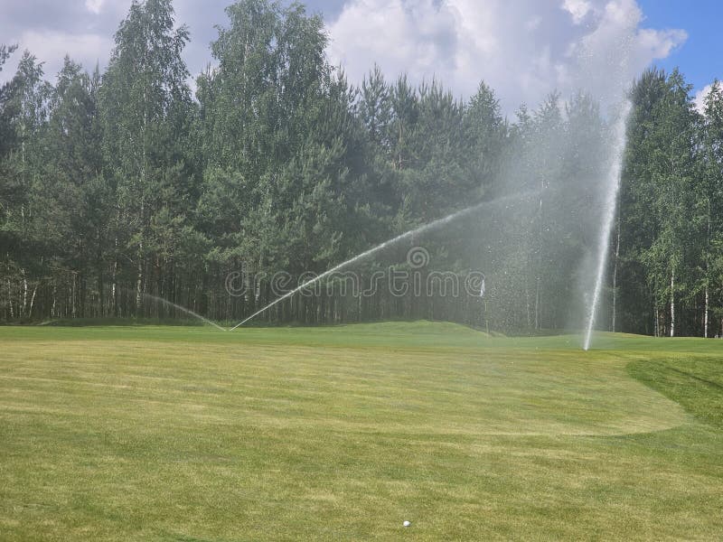 Sprinkler System Watering the Green Grass on a Golf Course in the ...