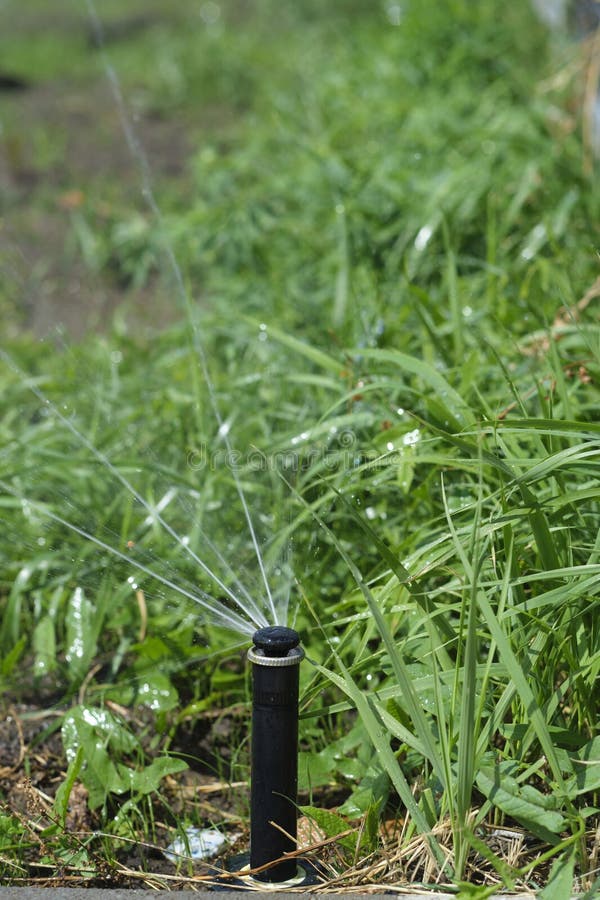 Sprinkler for Watering Lawns.Automatic Watering Nozzle. Irrigation ...