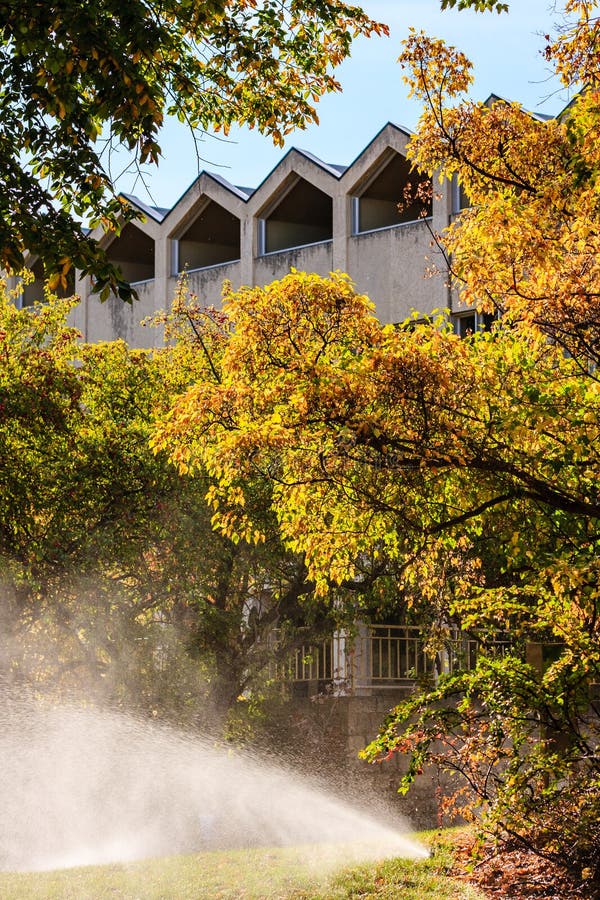 A Sprinkler Watering a Tree in Front of a Building Stock Photo - Image ...