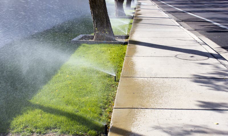 The Road between Sprinklers Watering Vineyard at Sunrise Morning. Stock ...