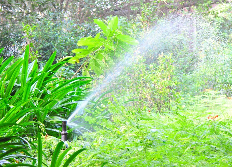 Sprinkling stock image. Image of gardening, garden, sprinkling - 21852043