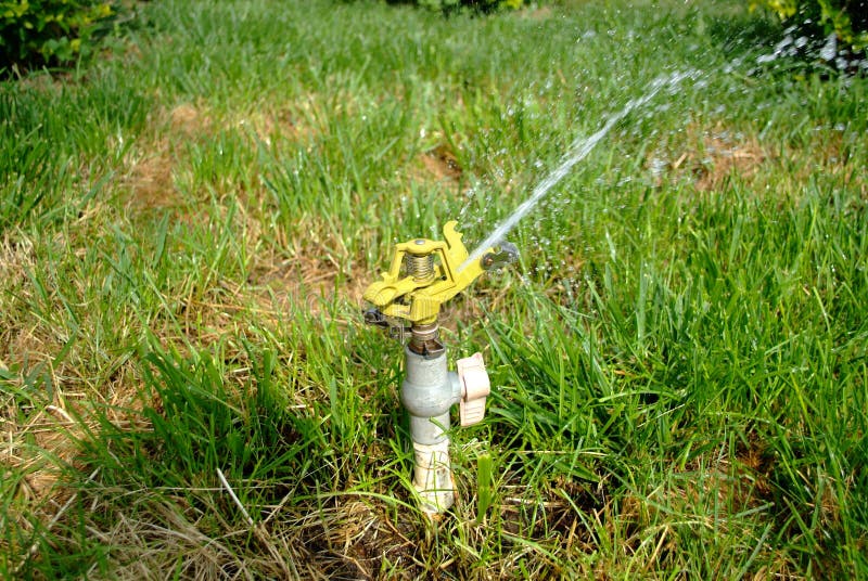 Sprinkling irrigation stock photo. Image of sprinkling - 40083964