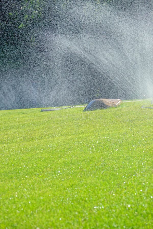 Sprinkling irrigation stock image. Image of grassplot - 186969681