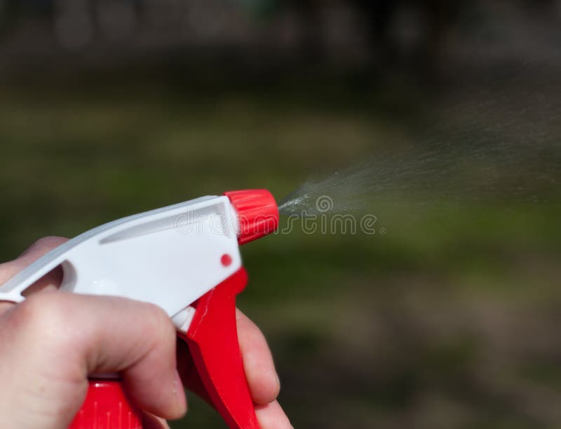 Sprinkling water sprayer stock image. Image of fragrance - 30670665