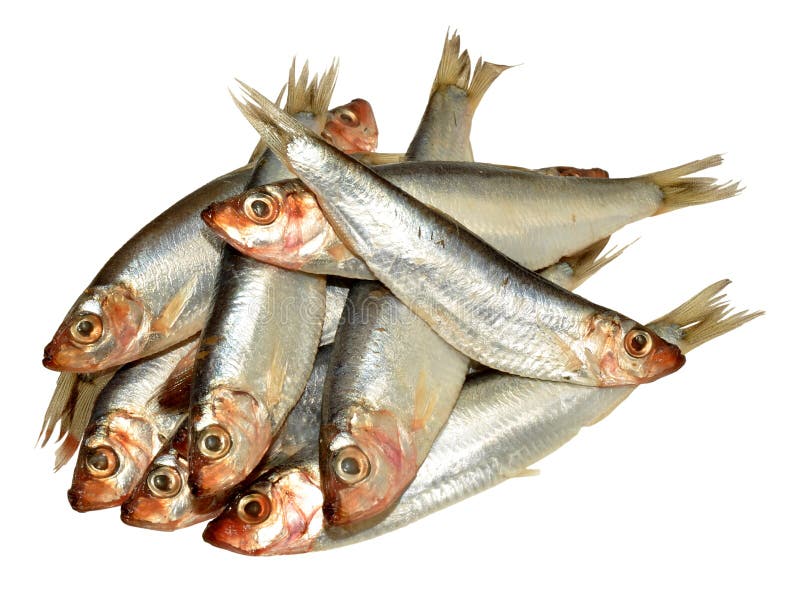 Sprotten Der Frischen Fische Stockfoto - Bild von diät, glänzend: 50778816