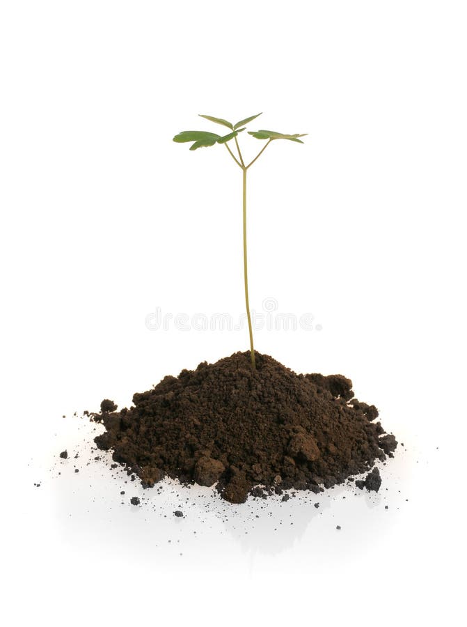 Kid s garden toys stock photo. Image of activity, equipment - 4483472