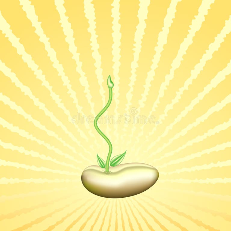 Sprout Banner Stock Illustrations – 8,716 Sprout Banner Stock ...