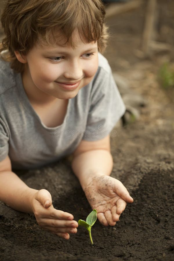 Sprout in children hand stock image. Image of cupped - 56263895